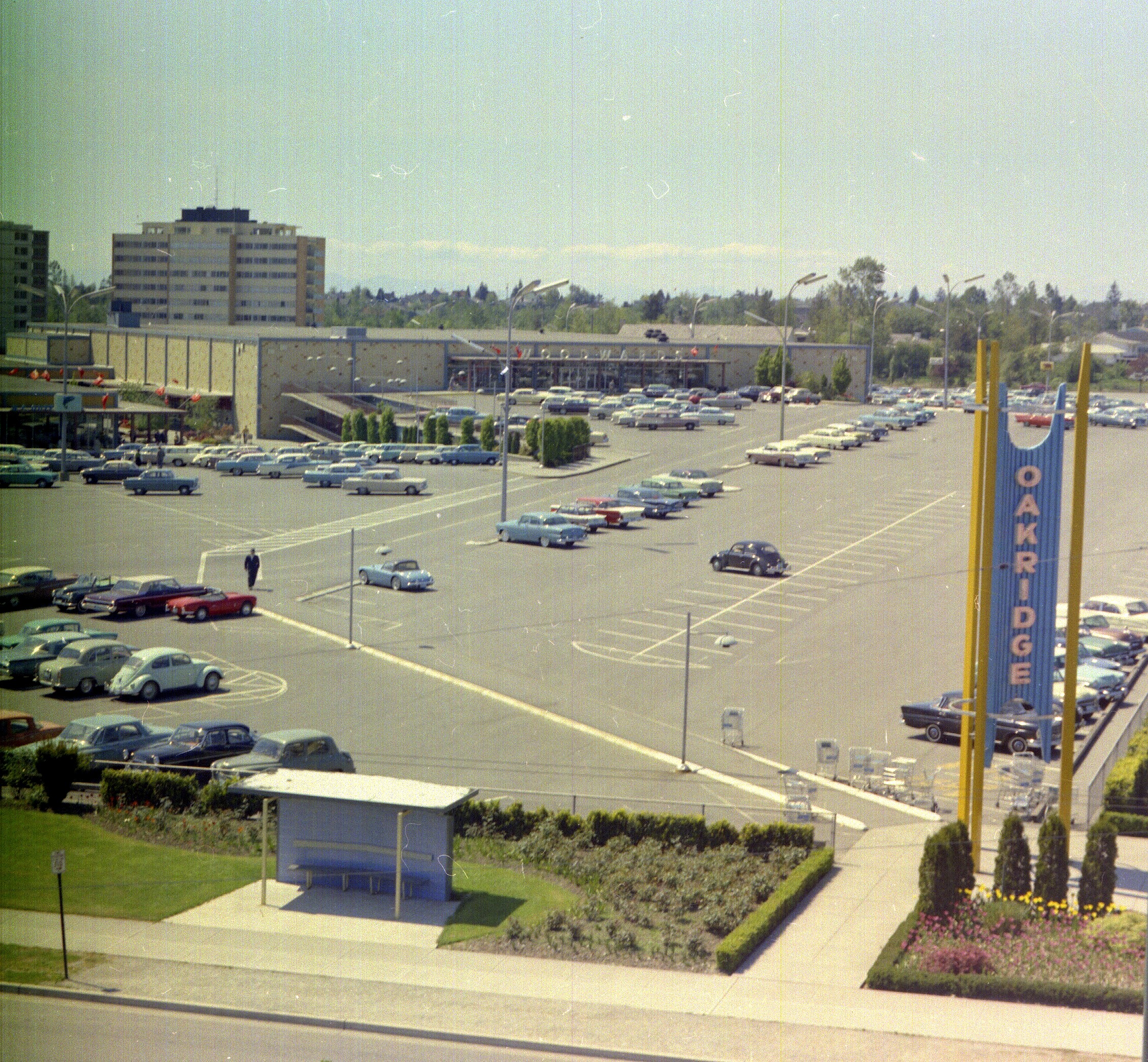 Oakridge Mall in the 1960s – What Floats to the Top of My Desk